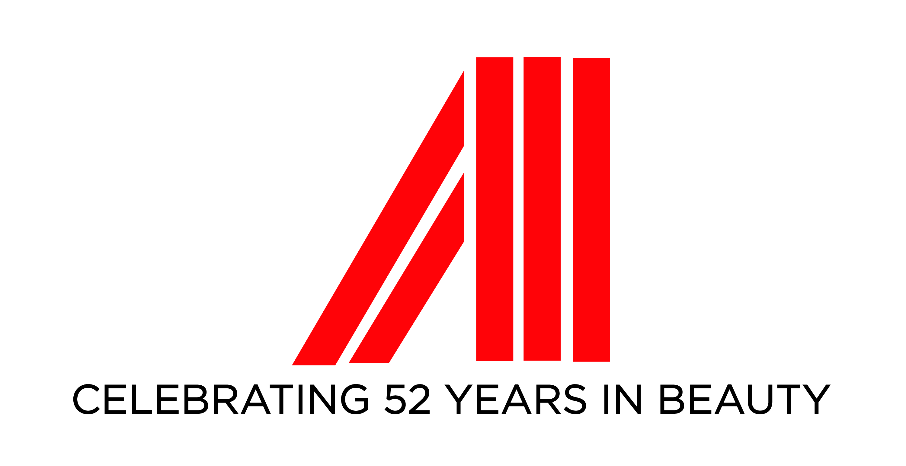AMERICAN INTERNATIONAL INDUSTRIES