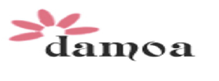 DAMOA INC.